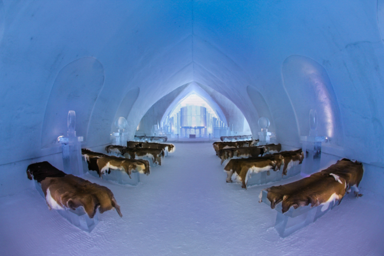 Quebec: Ice Hotel • TravelRight.Today • Bundle up, kitten!